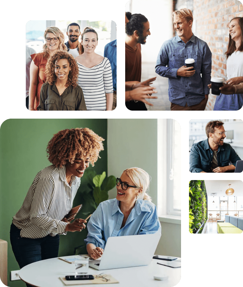 Meet the EssayBox Expert Team & Learn About Our Services